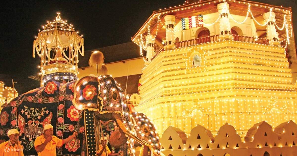 Ella, Kandy et Safari à Yala - Circuit de 2 jours tout compris au départ de Colombo - Klook ...